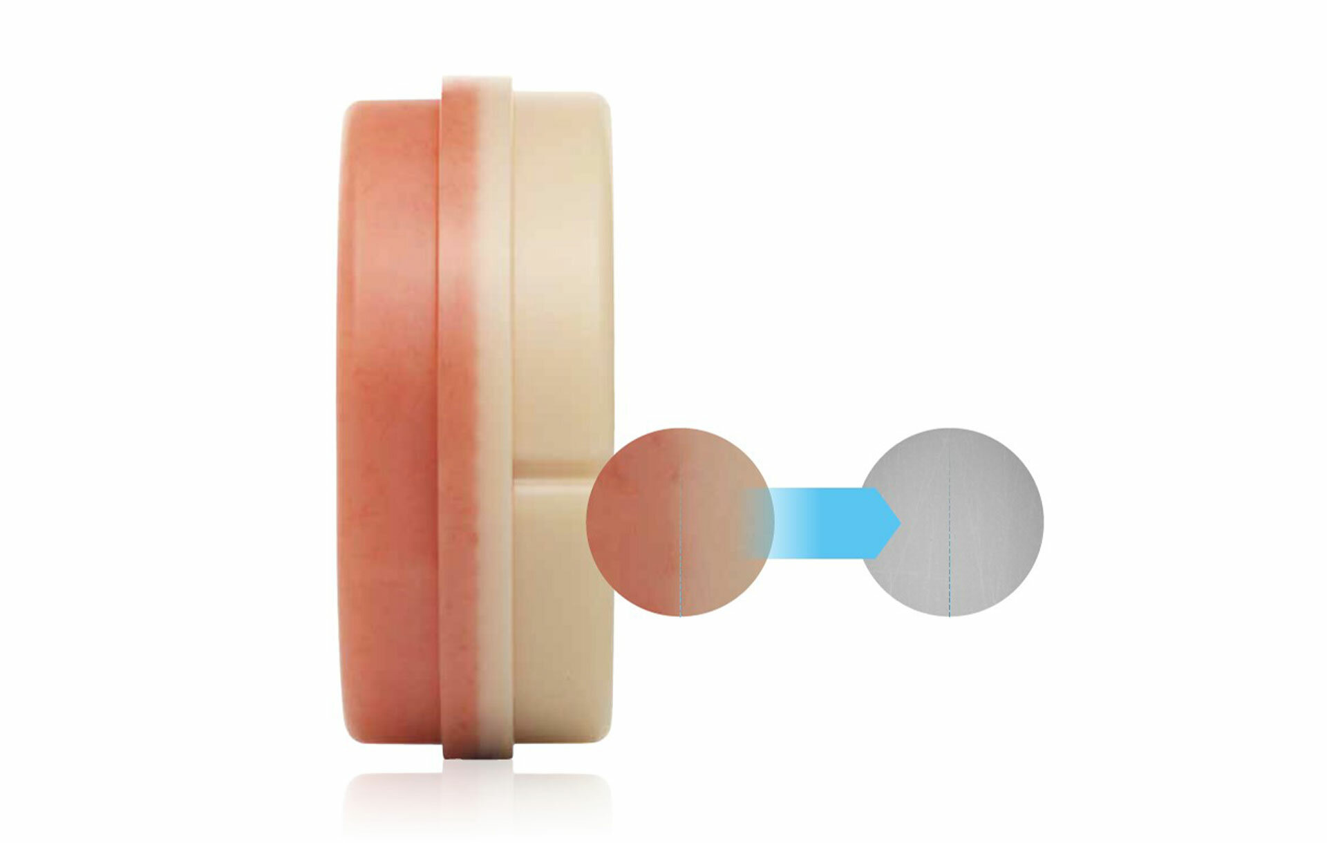 Ivotion | Tooth & Denture Materials | Ivoclar : Ivoclar