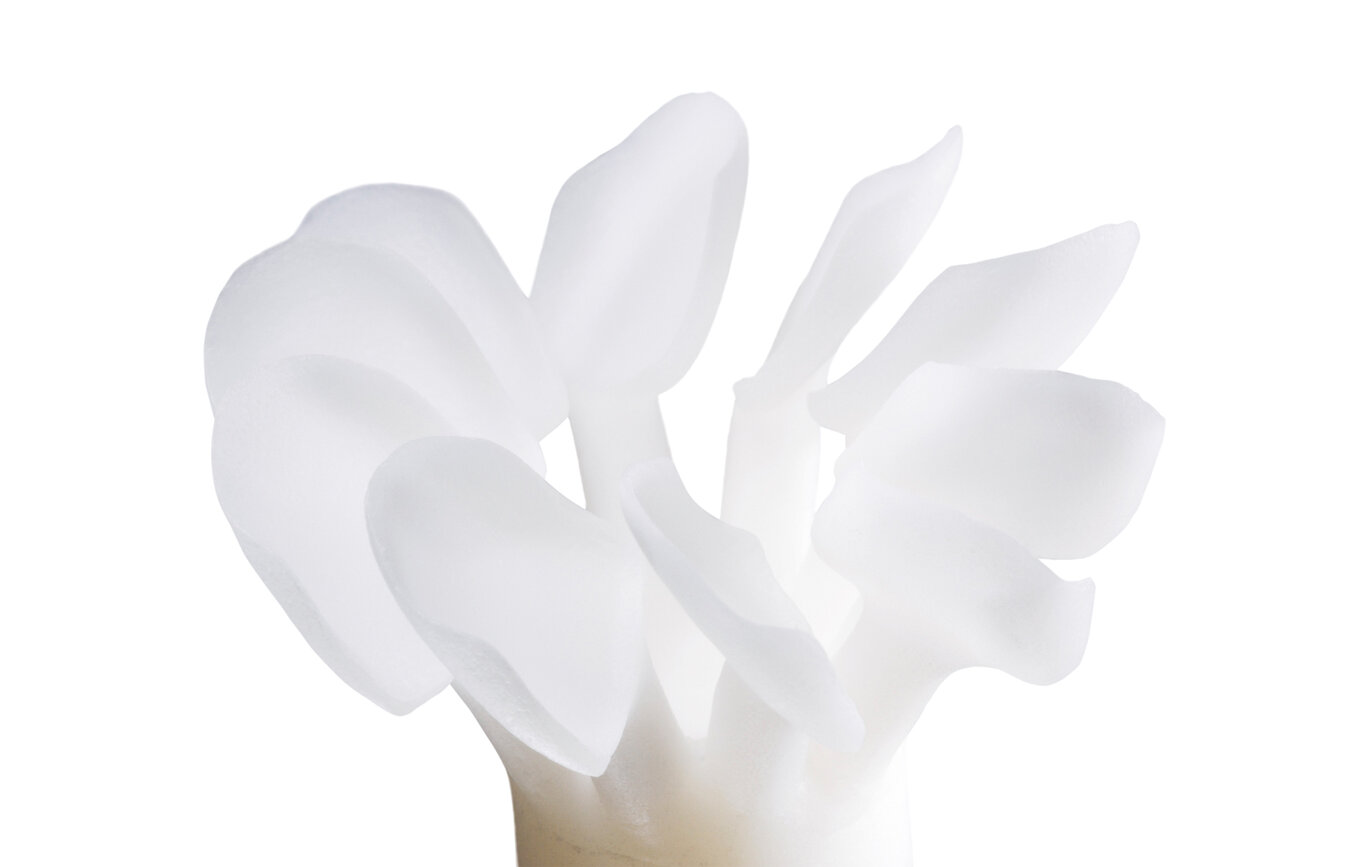 IPS e.max Press | Glass-ceramic restorations | Ivoclar LI