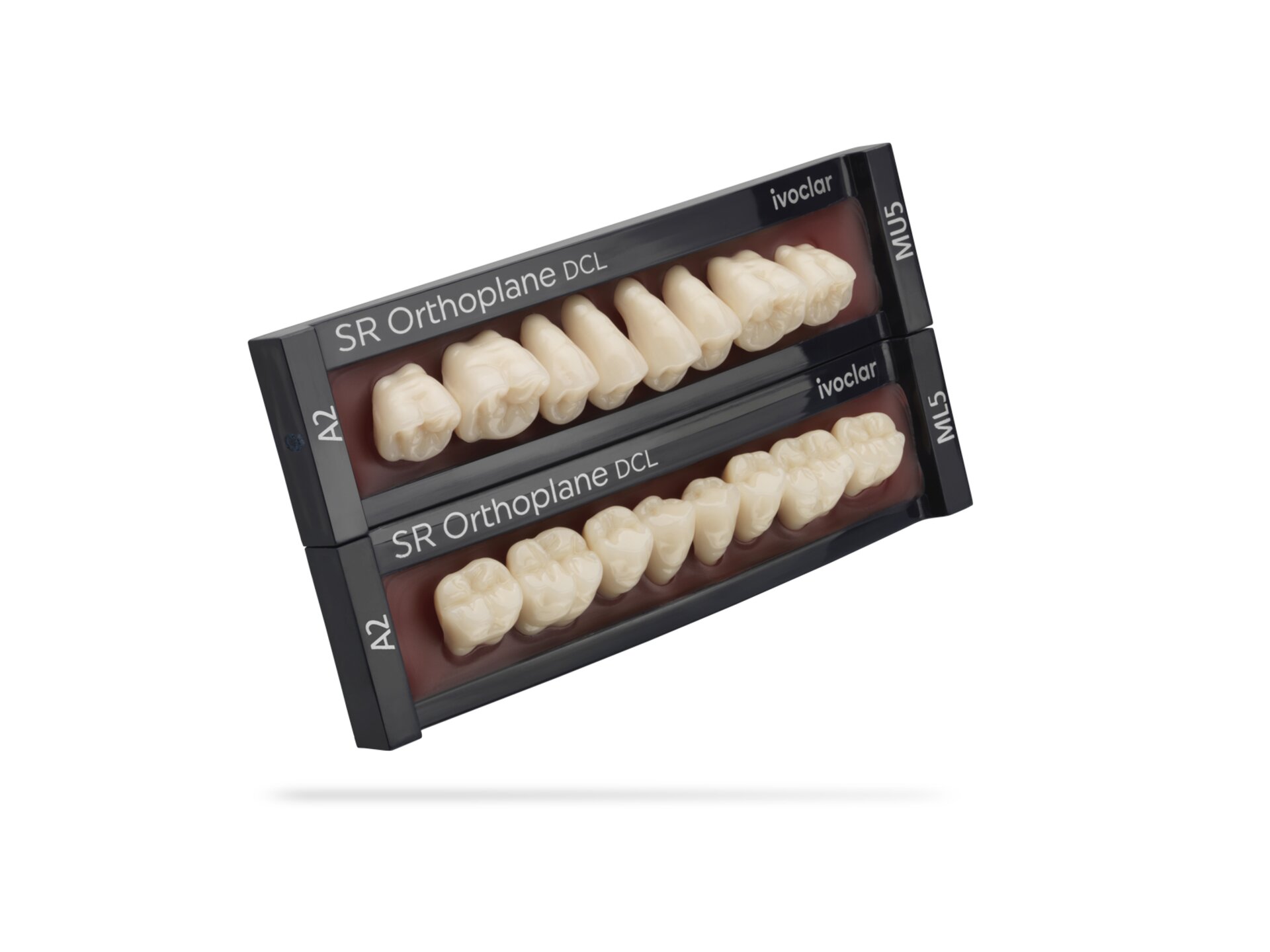SR Vivodent DCL | Prefabricated Teeth | Ivoclar