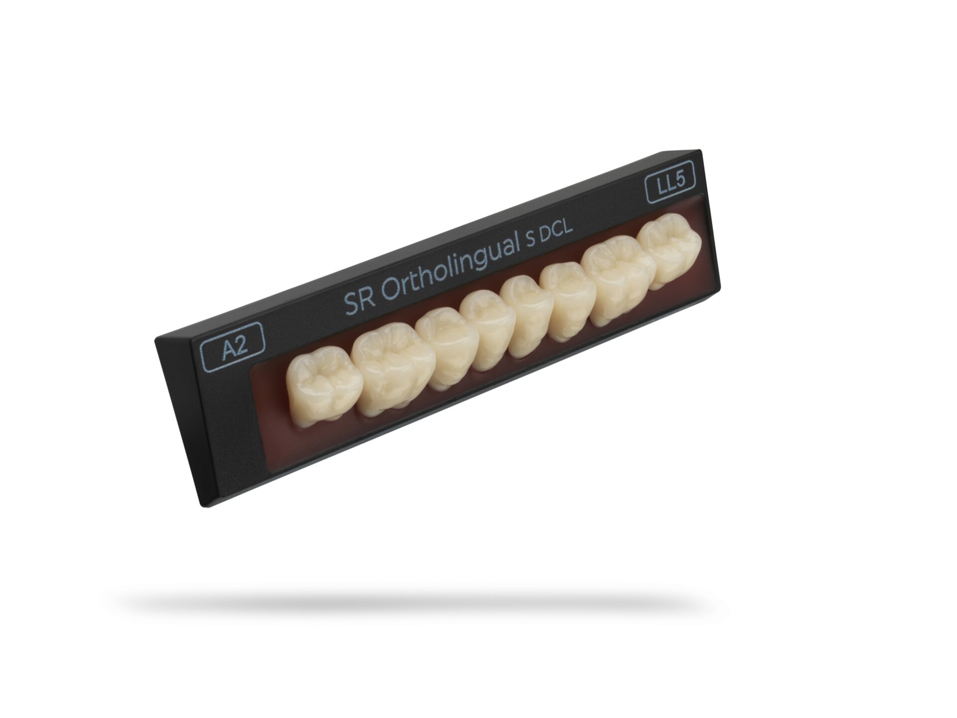 SR Vivodent S PE / S DCL