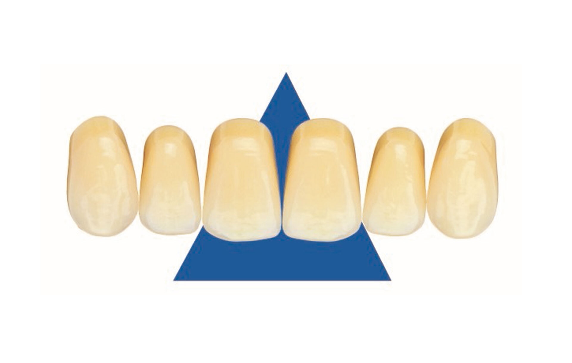 SR Vivodent S PE S DCL | Prefabricated Teeth | Ivoclar USA