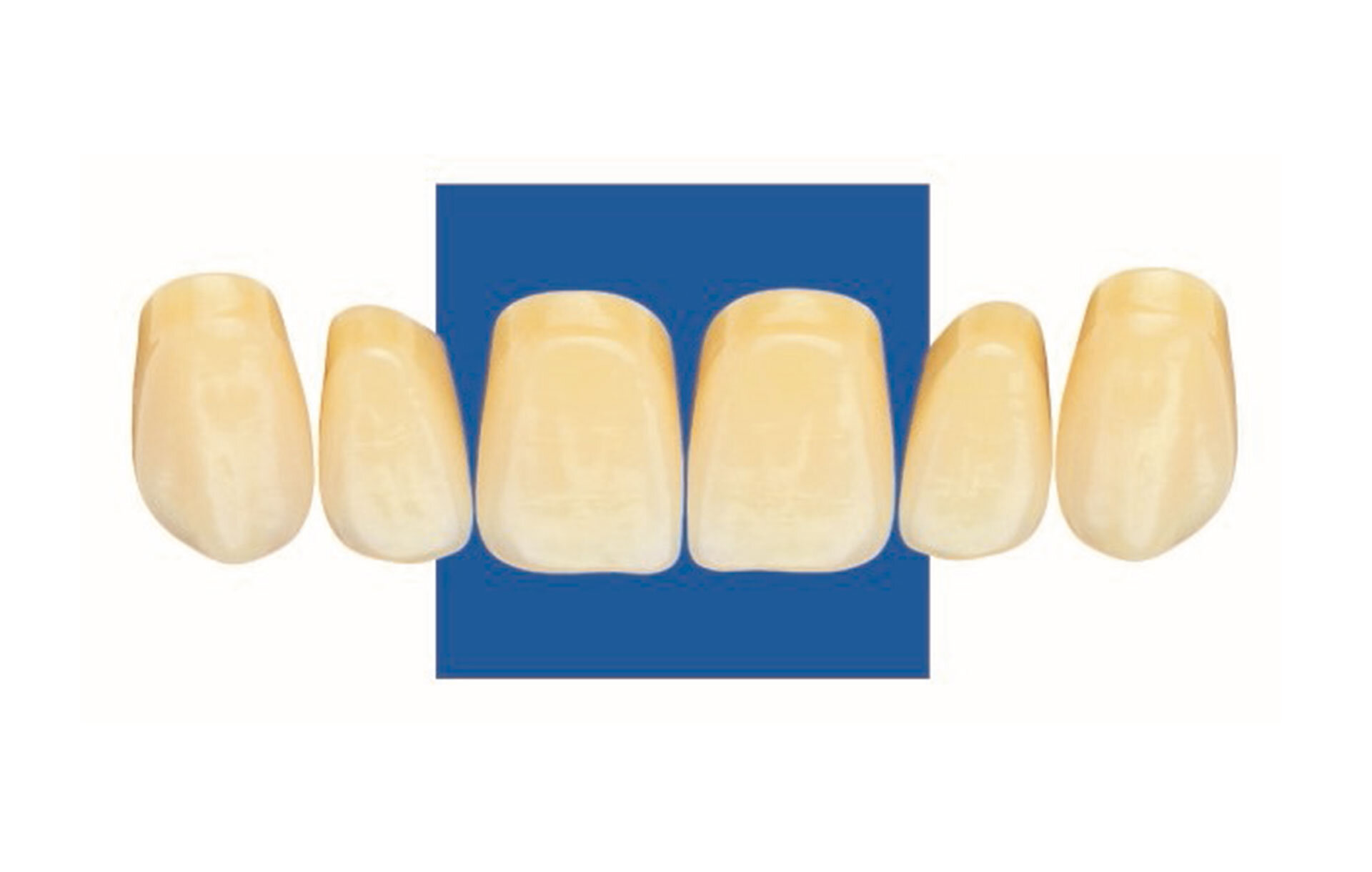 SR Vivodent S PE S DCL | Prefabricated Teeth | Ivoclar USA
