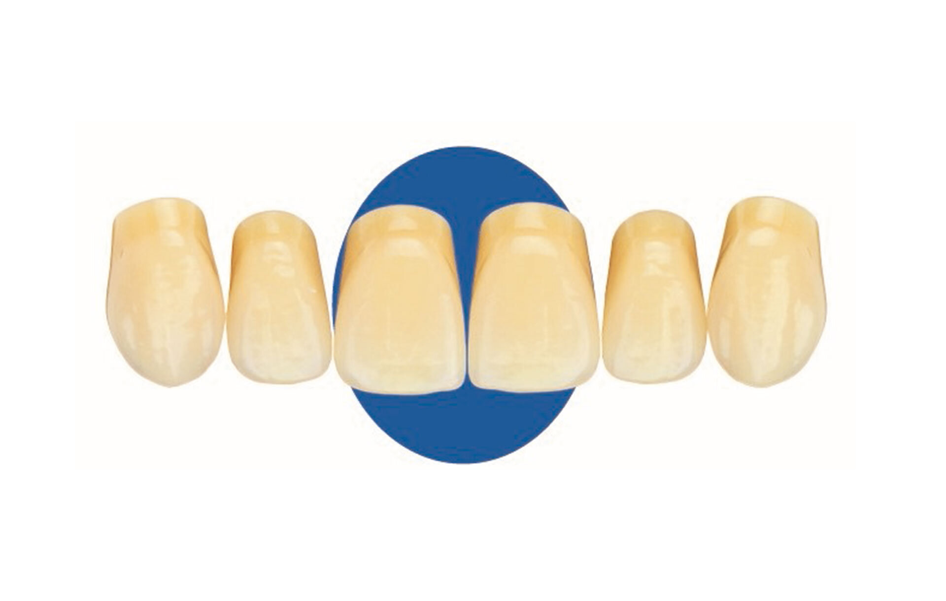 SR Vivodent S PE S DCL | Prefabricated Teeth | Ivoclar USA