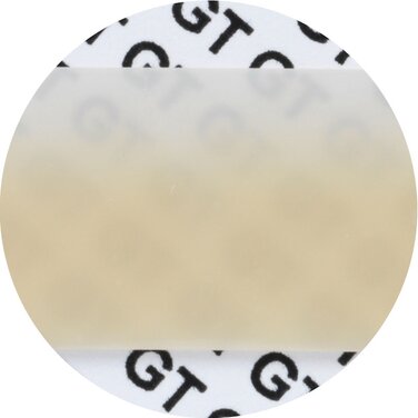 IPS e.max ZirCAD Prime | Zirconia Restorations | Ivoclar LI