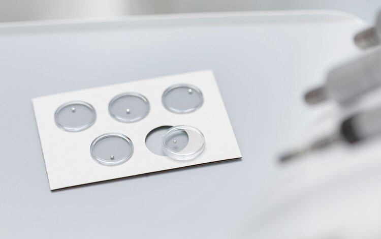 Skyce | Professional Tooth Jewellery | Ivoclar AU