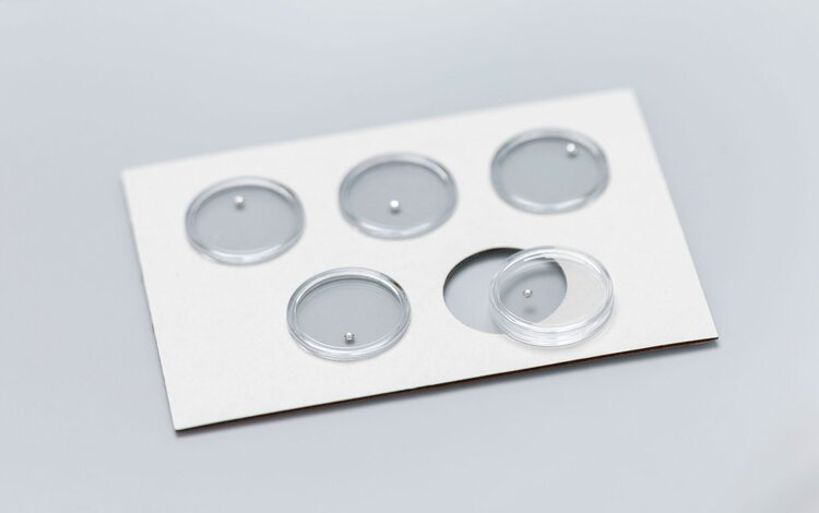 Skyce | Professional Tooth Jewelry | Ivoclar USA