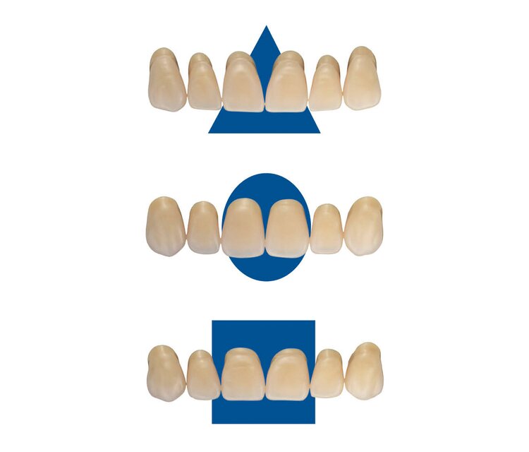 SR Vivodent DCL | Prefabricated Teeth | Ivoclar