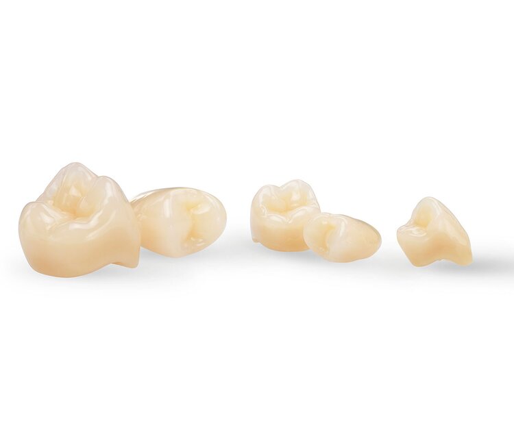 SR Vivodent S PE S DCL | Prefabricated Teeth | Ivoclar USA