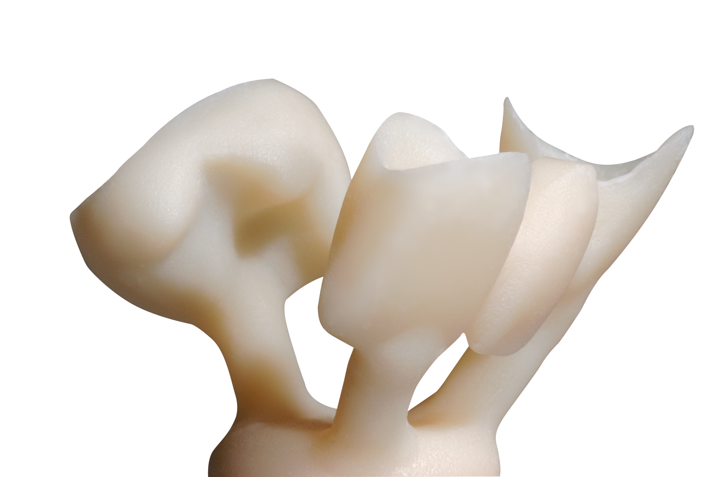 IPS e.max Press Refill MT 5 Stk. | All Ceramics | Ivoclar Vivadent US